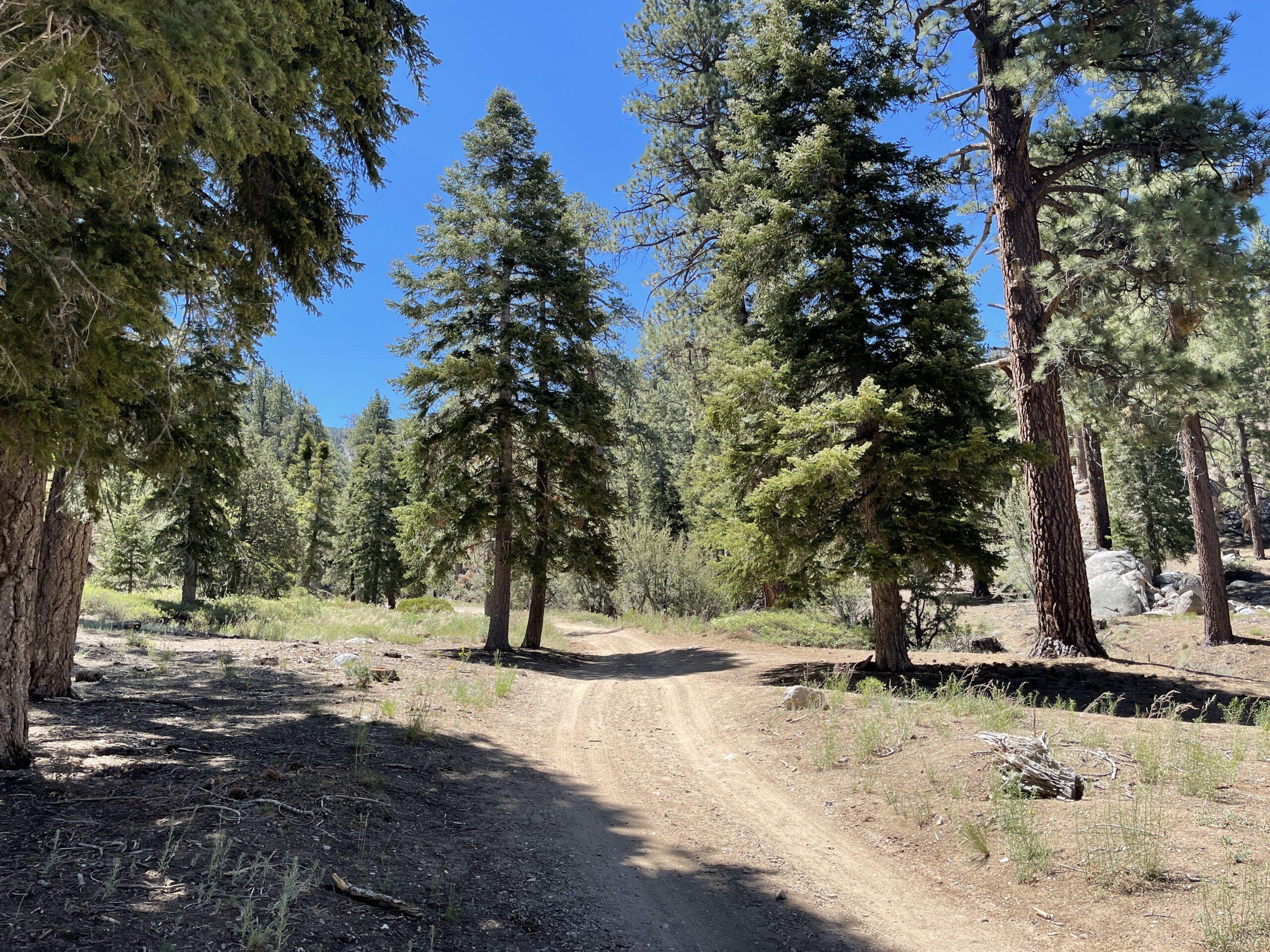 Hiking Sand Canyon Trail in Upper Moonridge - My Cloud Getaway